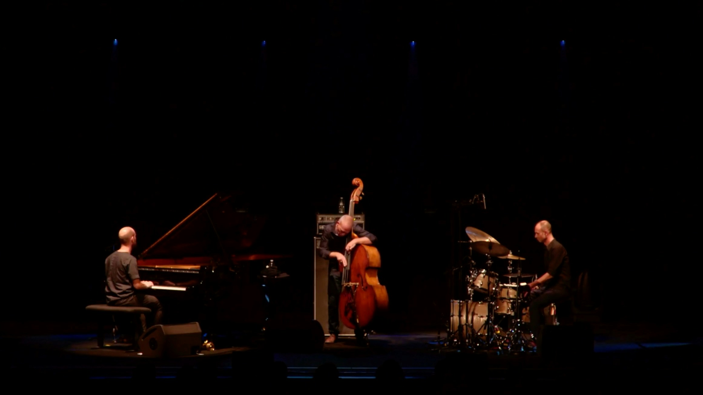 Avishai Cohen Trio, Gently Disturbed 10th Anniversary, Live at Jazz à ...