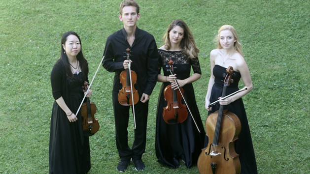 The Best of String Quartets - medici.tv